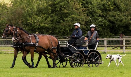 National Trials 2015 - British Carriage Dog Society