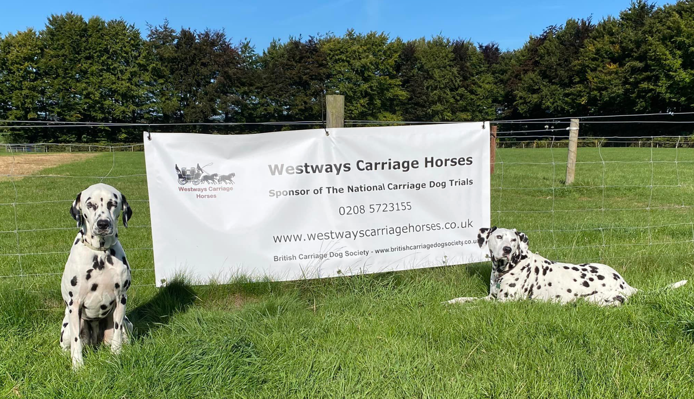 Dalmatian History - British Carriage Dog Society